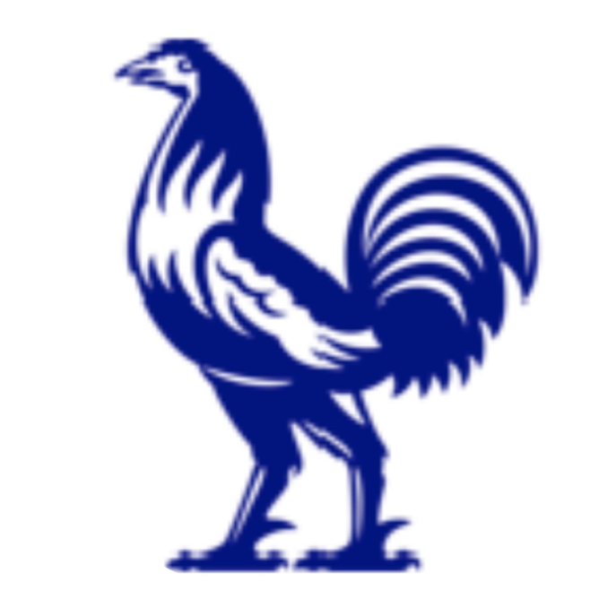 Shenfield Cricket Club – Mullet Cricket